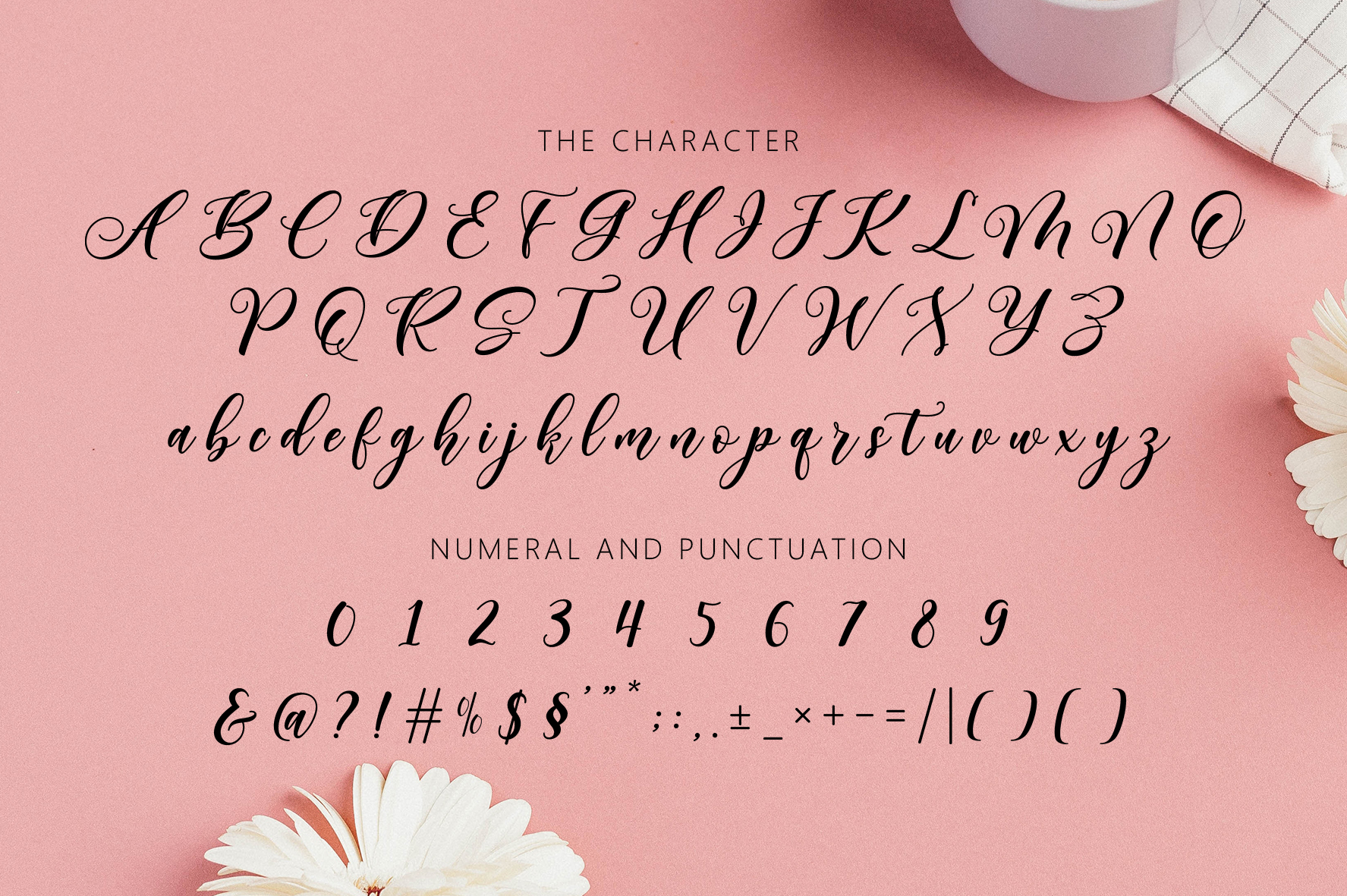 Berinthea Script, Fonts | GraphicRiver