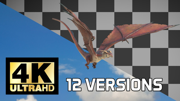 Pack Of 12 Flying And Roaring Dragons On Alpha Loop, Motion Graphics