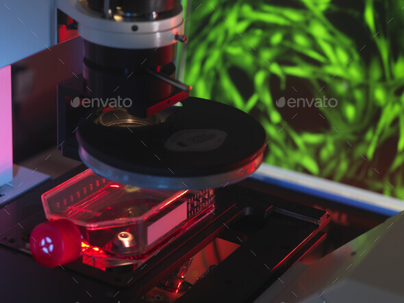 Inverted microscope viewing stem cells in flask with display of a ...