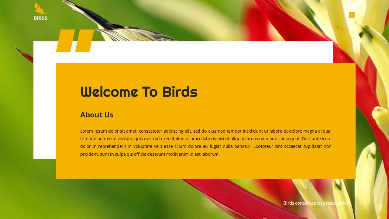 Birds - Birds Conservation Powerpoint Templates, Presentation Templates