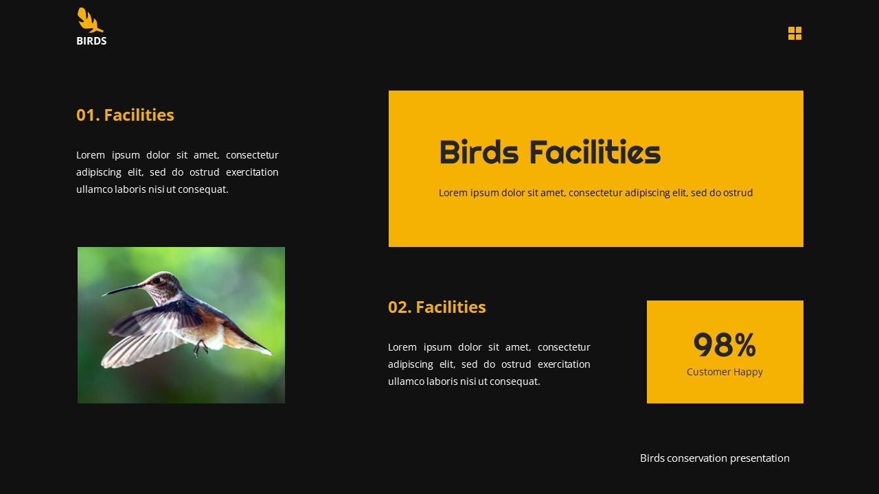 Birds - Birds Conservation Powerpoint Templates, Presentation Templates