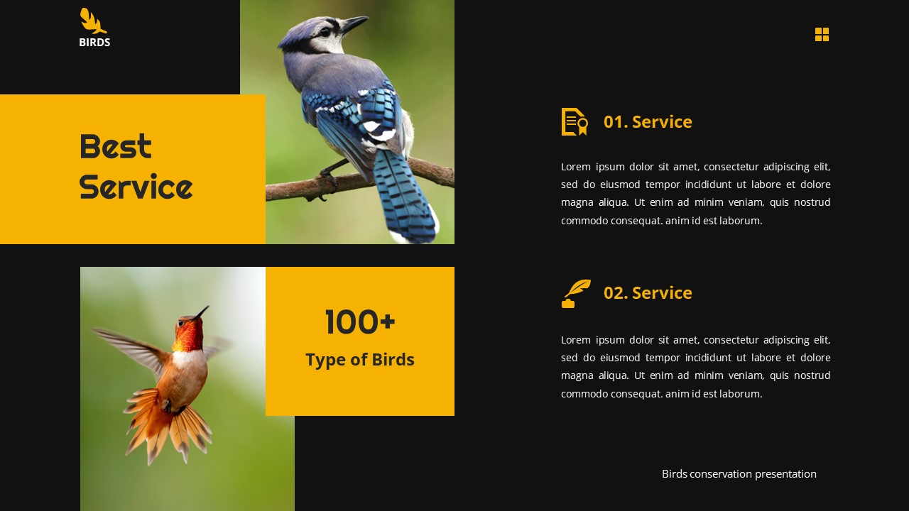 Birds - Birds Conservation Powerpoint Templates, Presentation Templates