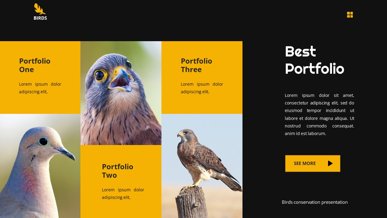 Birds - Birds Conservation Powerpoint Templates, Presentation Templates