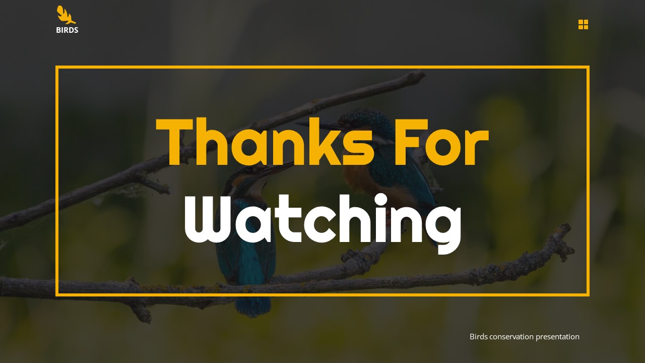 Birds - Birds Conservation Google Slide Templates, Presentation Templates