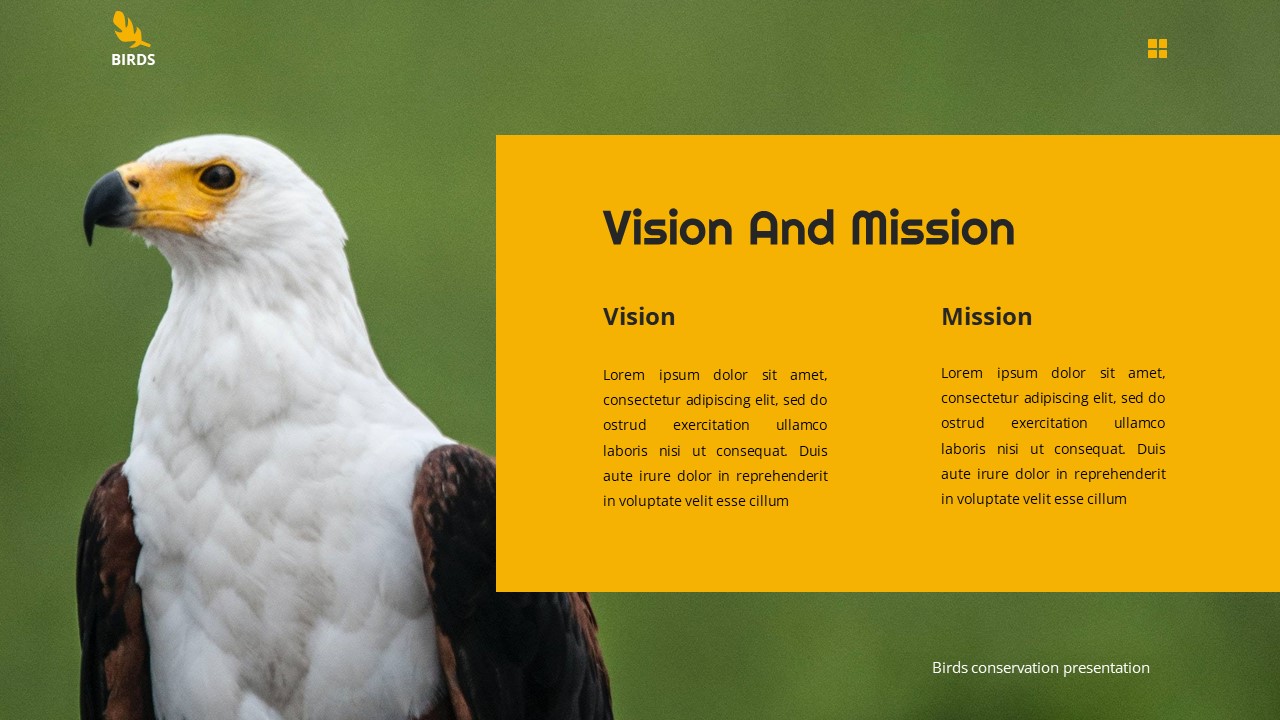 Birds - Birds Conservation Google Slide Templates, Presentation Templates
