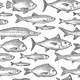 Seamless Pattern Different Types of Fish, Vectors | GraphicRiver