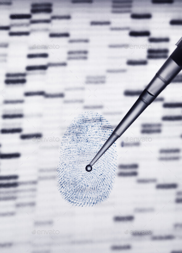 DNA sample being pipetted onto human fingerprint and DNA gel ...