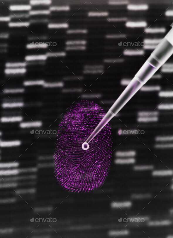 DNA sample being pipetted onto human fingerprint and DNA gel to ...
