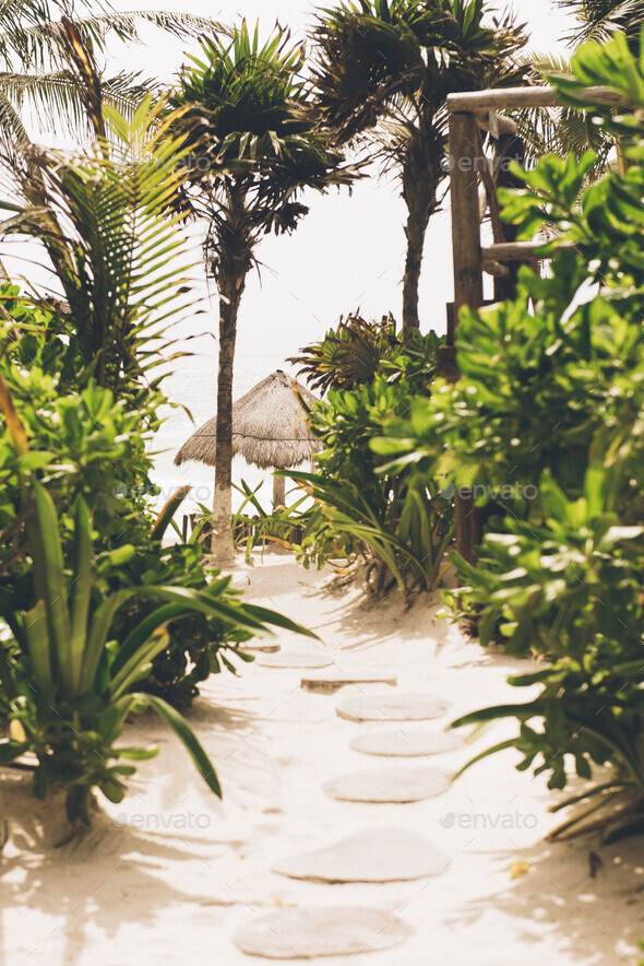 Pathway to beach, elevated view, Tulum, Mexico Stock Photo by Image-Source