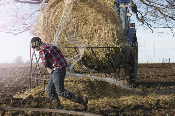 Boy removing netting from hay stack in dairy farm field Stock Photo by ...
