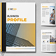 Business Profile Template, Print Templates | GraphicRiver