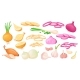 Cartoon Cut Onion, Vectors | GraphicRiver