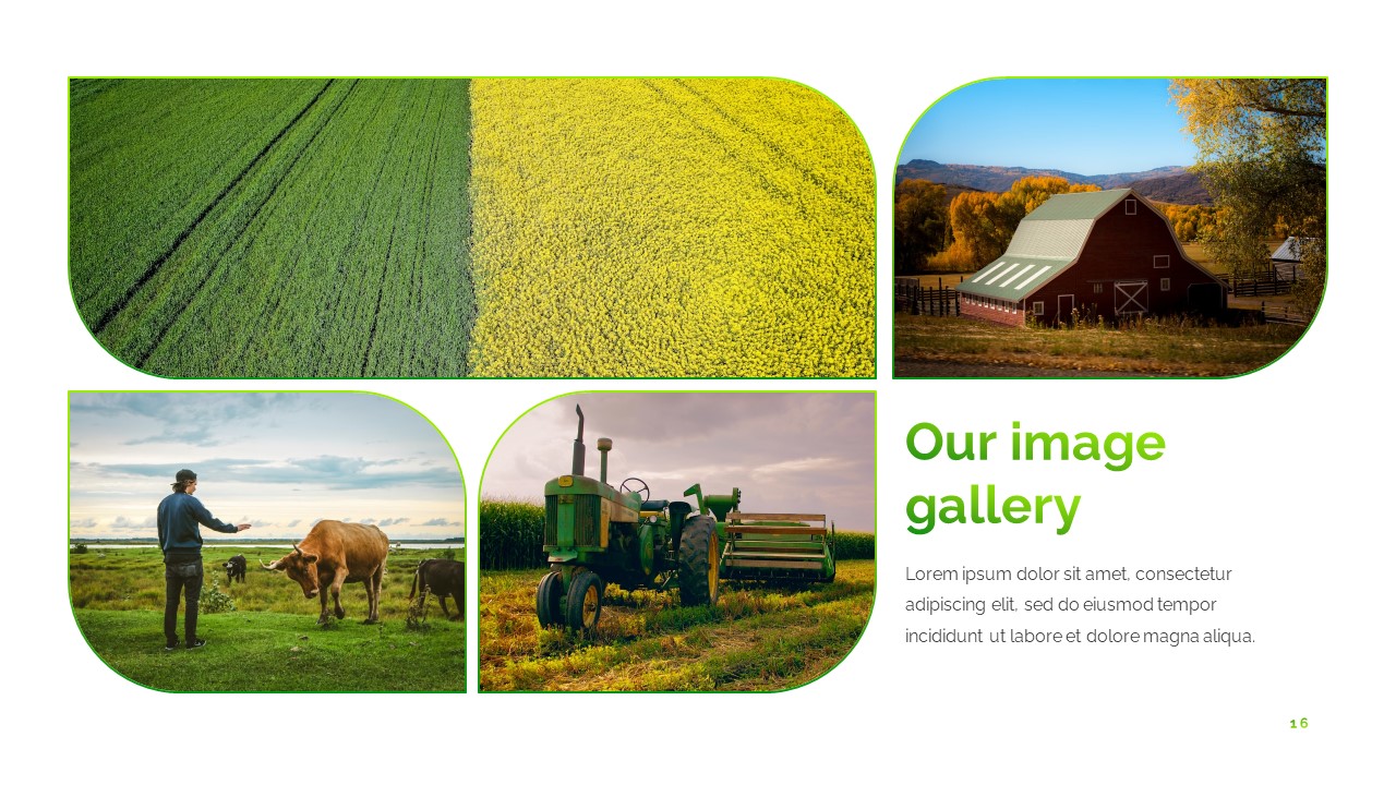 Farm Agriculture PowerPoint Template, Presentation Templates | GraphicRiver