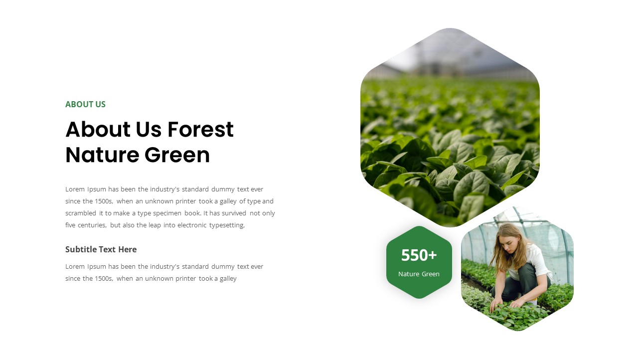 Nature Green PowerPoint Presentation Template, Presentation Templates