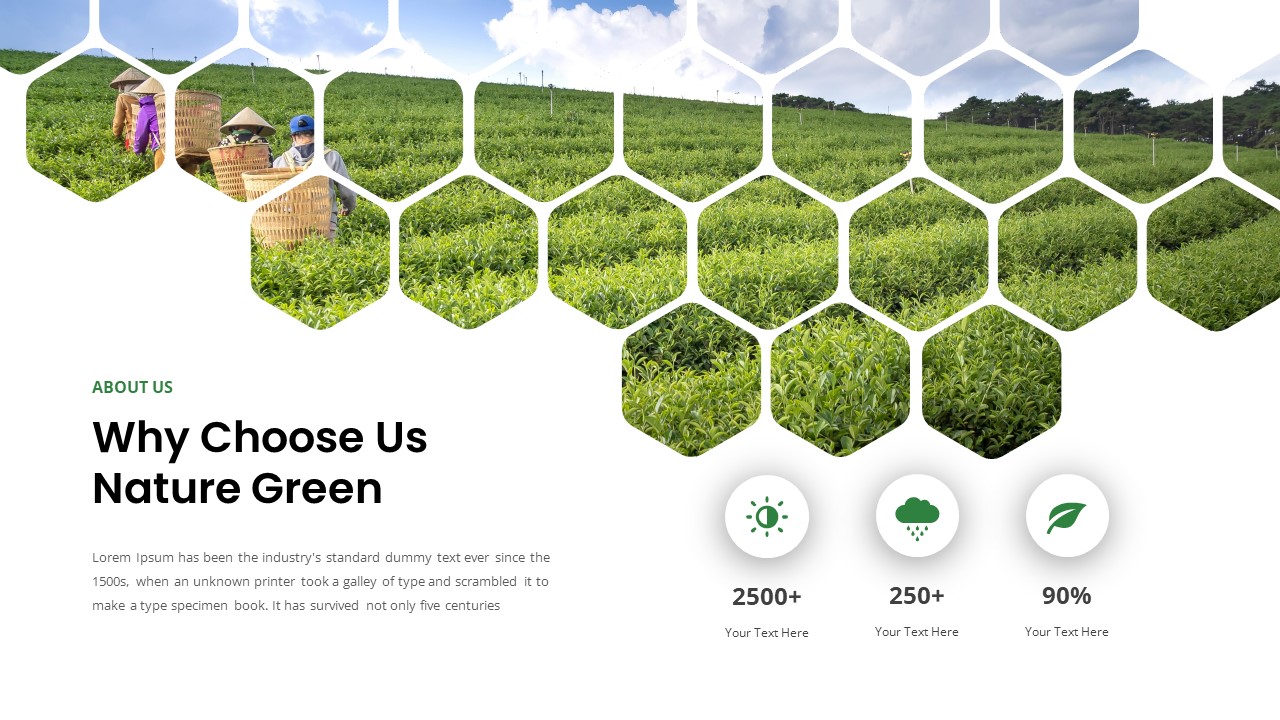 Nature Green PowerPoint Presentation Template, Presentation Templates