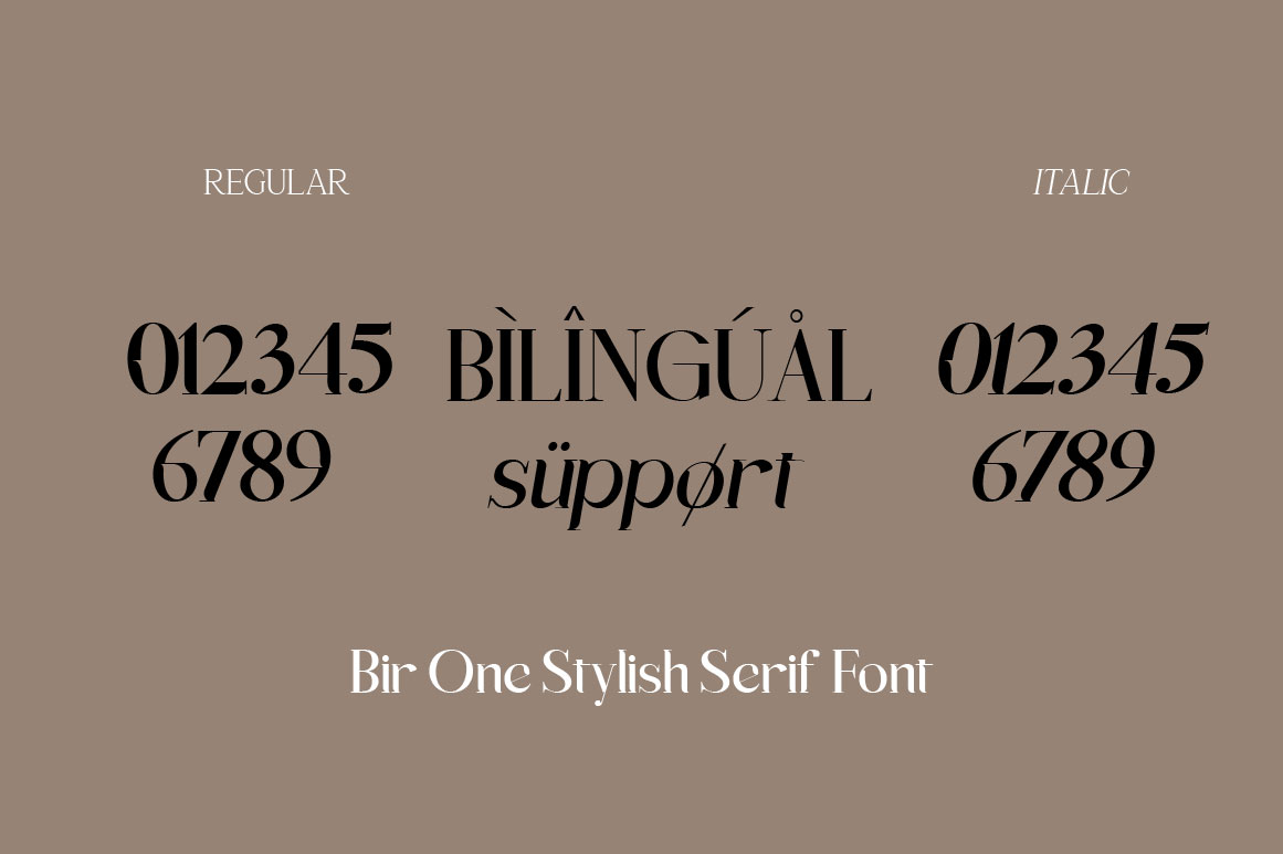 Bir One Font, Fonts | GraphicRiver