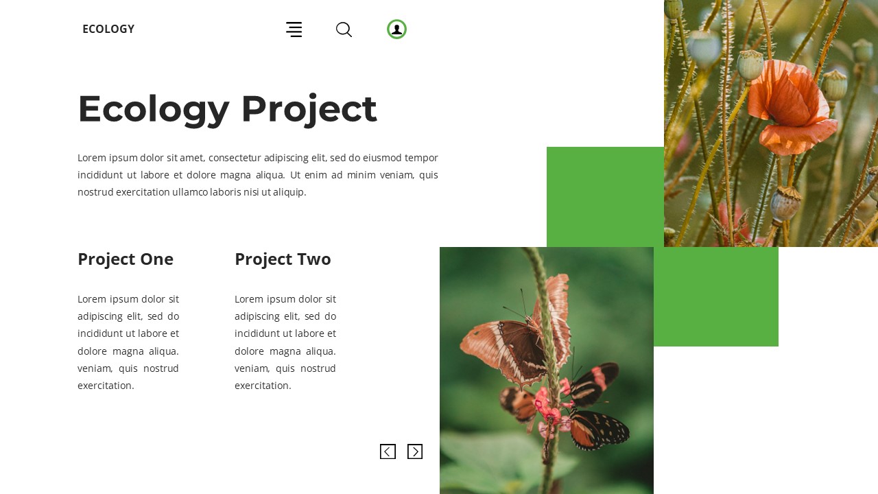 Ecology - Nature Keynote Templates, Presentation Templates | GraphicRiver