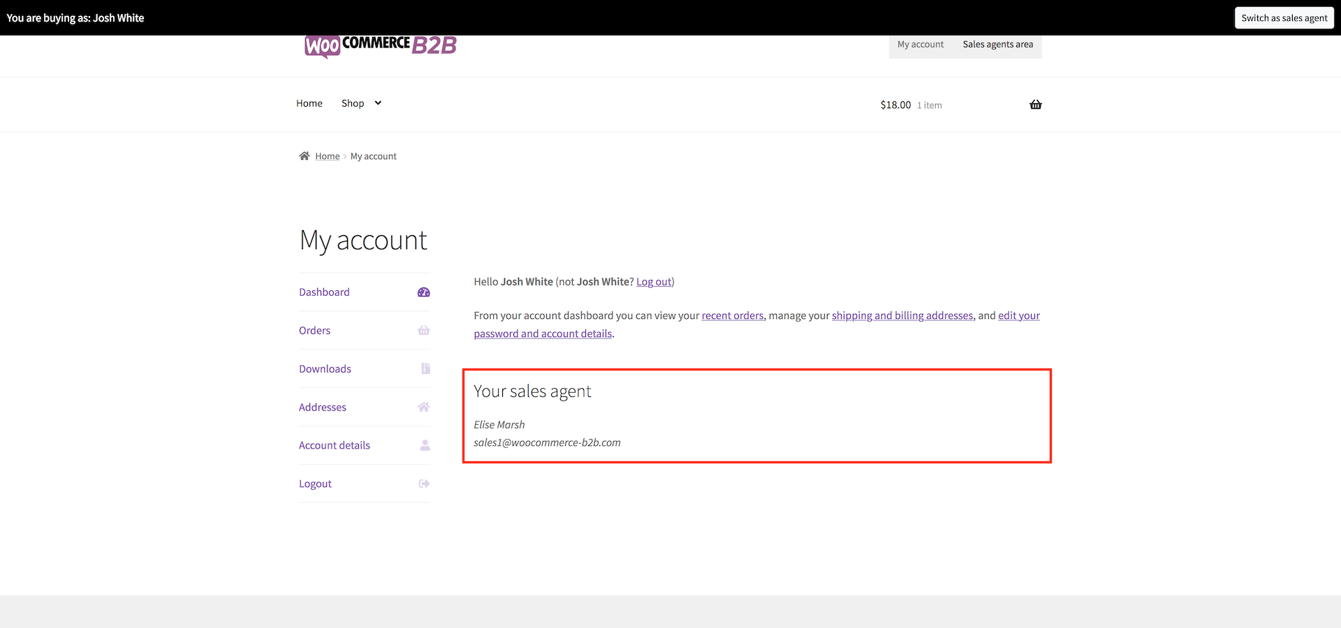 WooCommerce B2B Sales Agents by code4lifeitalia | CodeCanyon