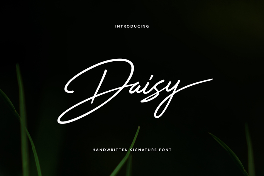 Daisy Handwriting Font, Fonts | GraphicRiver