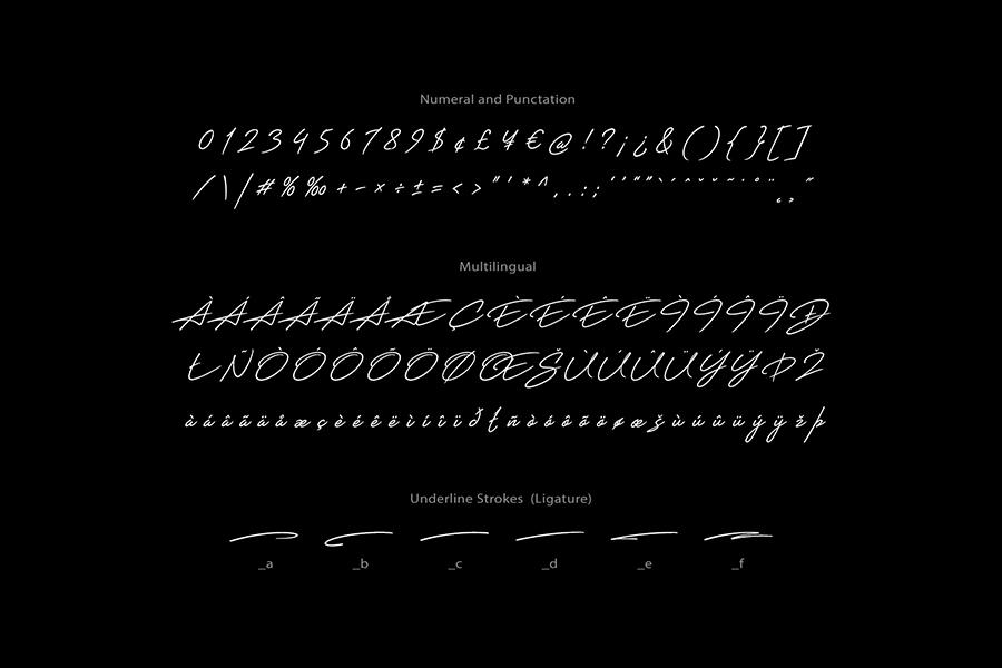 Daisy Handwriting Font, Fonts | GraphicRiver