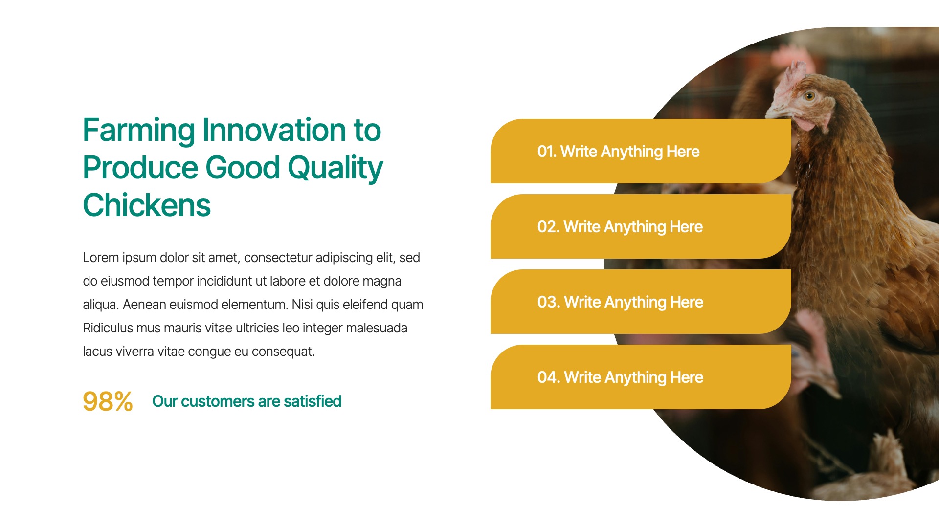 Chicken Farm PowerPoint Template, Presentation Templates | GraphicRiver