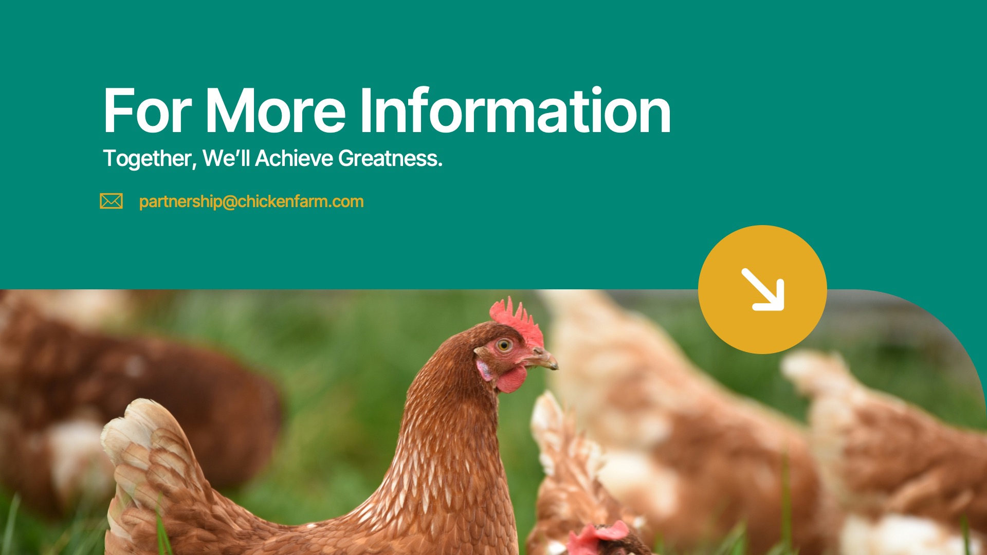 Chicken Farm PowerPoint Template, Presentation Templates | GraphicRiver