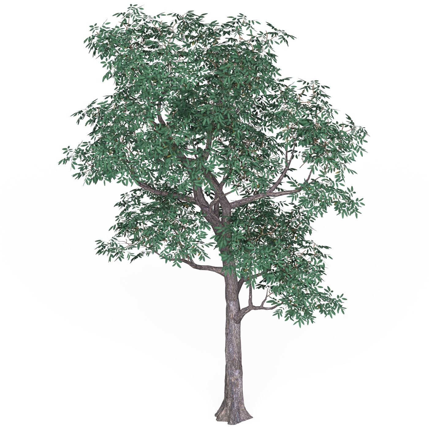 Game Ready Tree 18 by plantworld3d | 3DOcean
