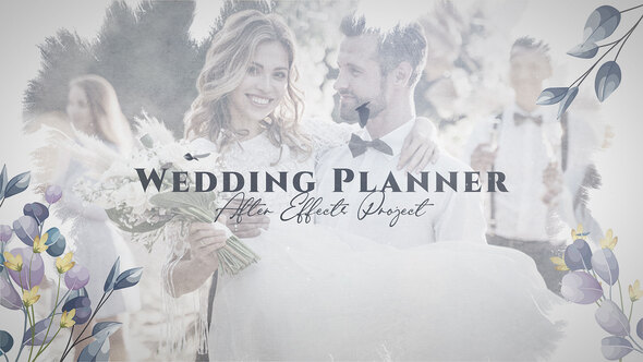 Wedding Planner, After Effects Project Files | VideoHive