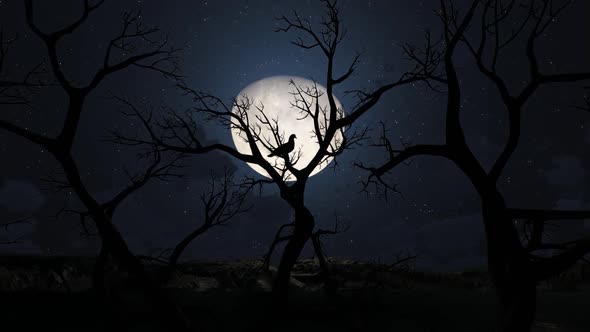 Scary Tree At Night, Motion Graphics | VideoHive
