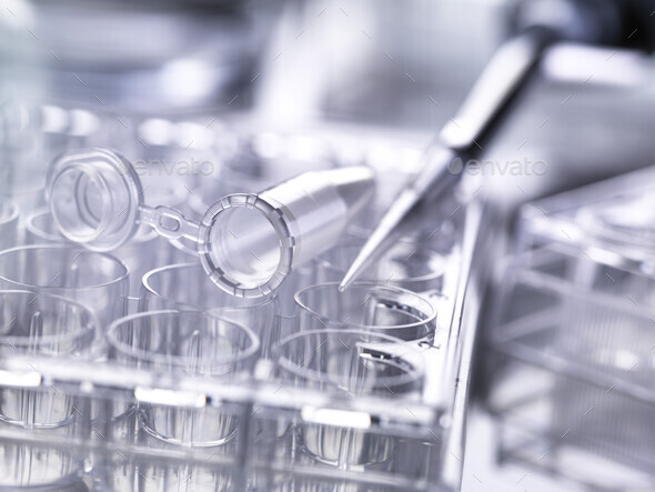 Pipette used to deliver samples sitting on multi well plates used in ...