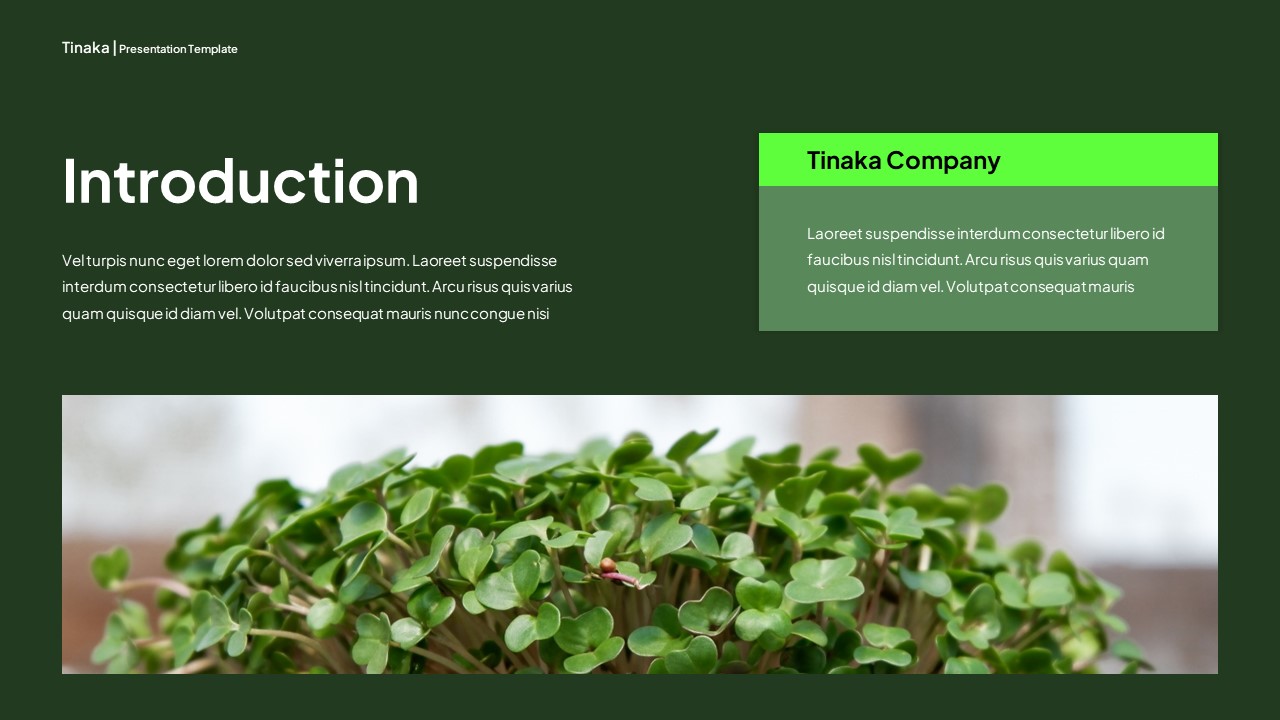 Al - Arsy_Green Nature Minimalist Presentation PPT/PPTX Template_Tinaka ...