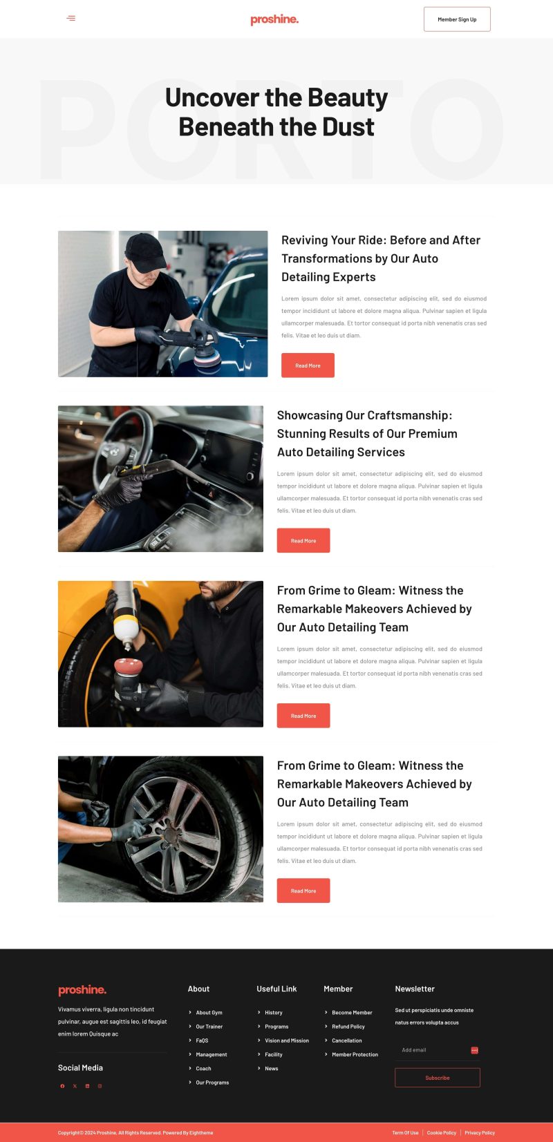 Proshine - Car Detailing & Auto Service Elementor Template Kit by Design_8