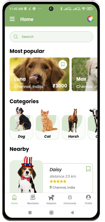 PetAdoption App | Animal Shelter | Pet Rescue | Animal Rescue React ...