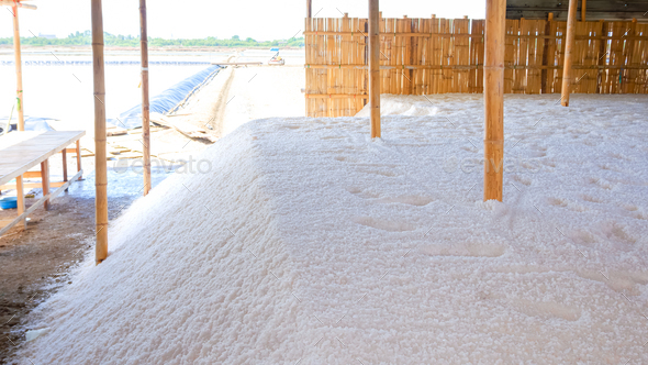Sea salt heap inside of traditional wooden salt storage granary (salt ...