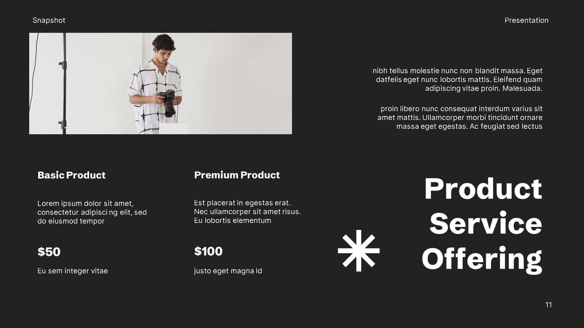 Brown Simple Business Plan Powerpoint Presentation, Presentation Templates