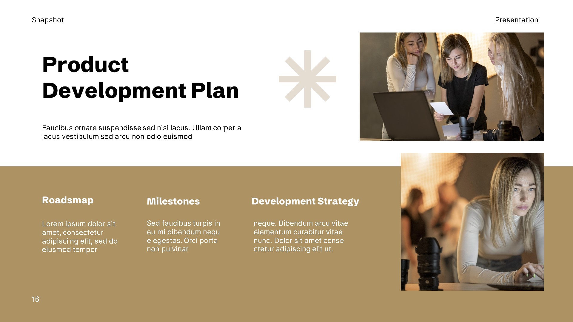 Brown Simple Business Plan Powerpoint Presentation, Presentation Templates