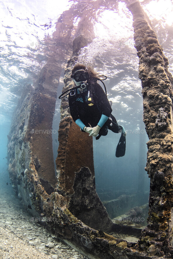 Underwater view of female scuba diver exploring Sapona wreck, Alice ...