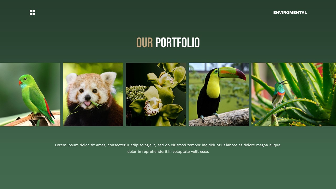 Enviromental - Nature Keynote Templates, Presentation Templates ...