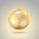 Golden Shiny Perl, Vectors | GraphicRiver