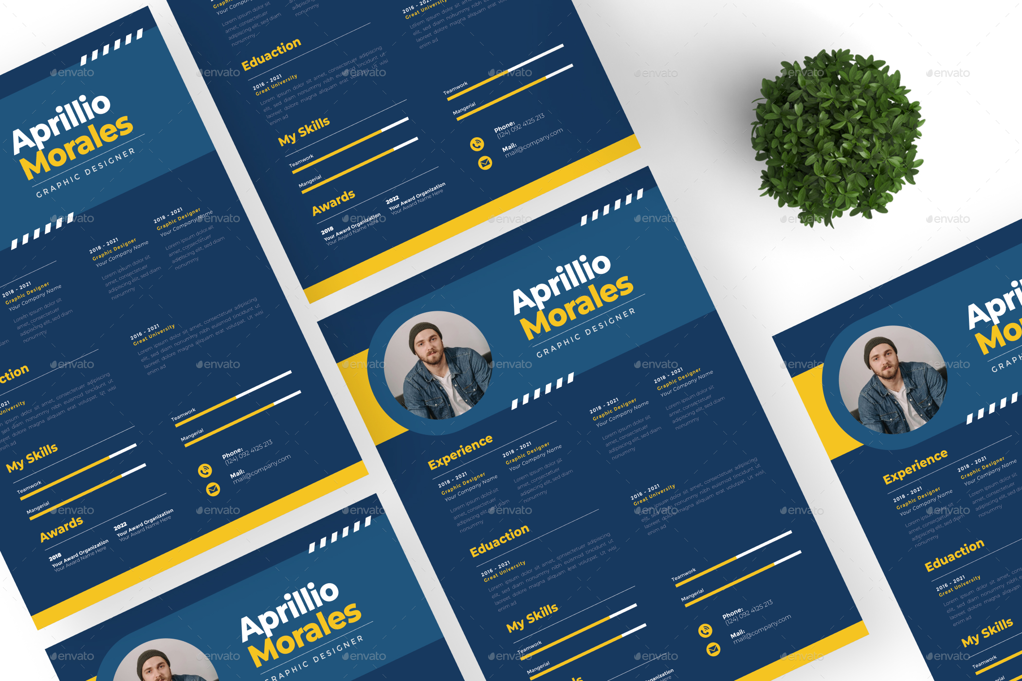 Light Shine - Resume, Print Templates | GraphicRiver