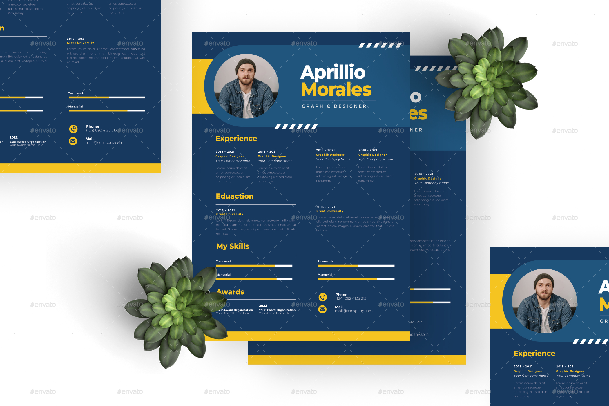 Light Shine - Resume, Print Templates | GraphicRiver