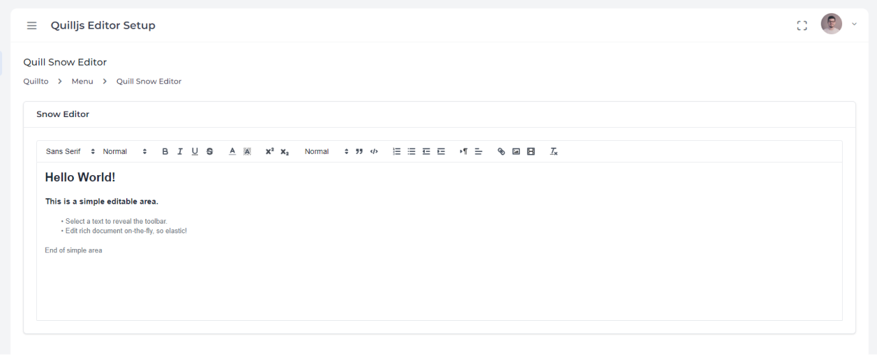 Quilljs Editor Setup HTML Template - Quillto by MyraStudio | CodeCanyon