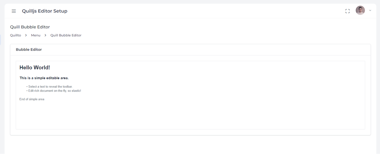 Quilljs Editor Setup HTML Template - Quillto by MyraStudio | CodeCanyon