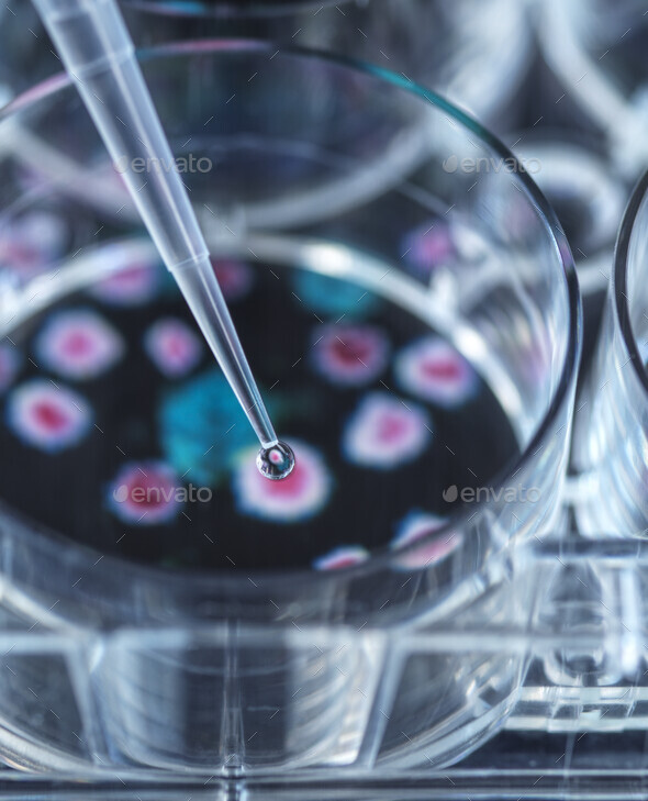 Precision pipetting in a science lab. Stock Photo by Image-Source ...