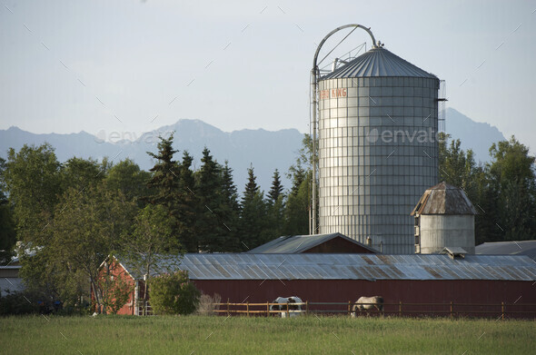 Rustic farm scene with silo and barn at sunset. Stock Photo by Image-Source