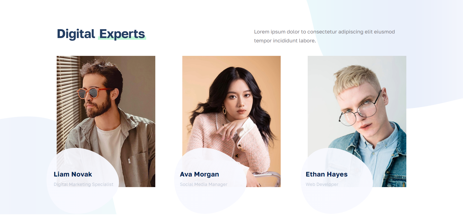 Creative HTML Team Section Templates by Salahudeen007 | CodeCanyon