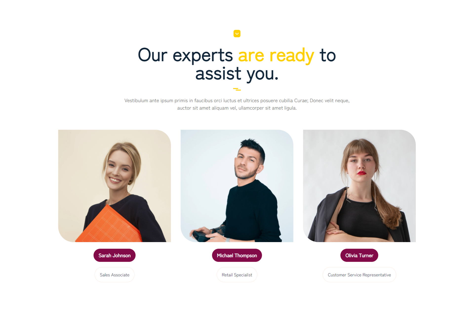 Creative HTML Team Section Templates by Salahudeen007 | CodeCanyon