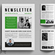 Newsletter Layout Template, Print Templates | GraphicRiver