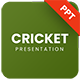 Cricket - Cricket Powerpoint Templates, Presentation Templates ...
