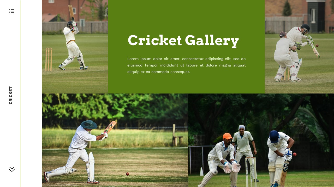 Cricket - Cricket Powerpoint Templates, Presentation Templates ...
